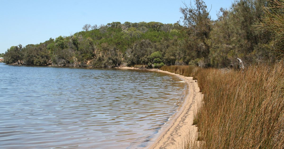 Mt Henry Peninsula - Aquinas College