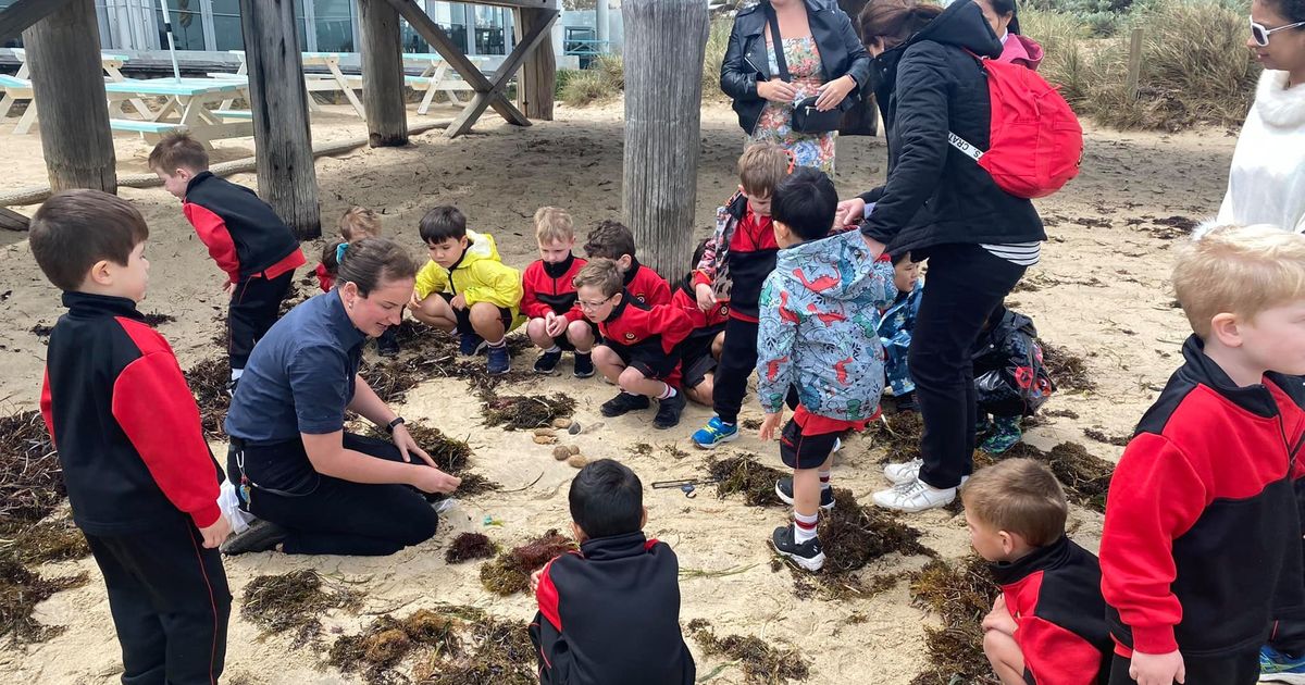 Kindy Kids Visit Cicerellos - Aquinas College