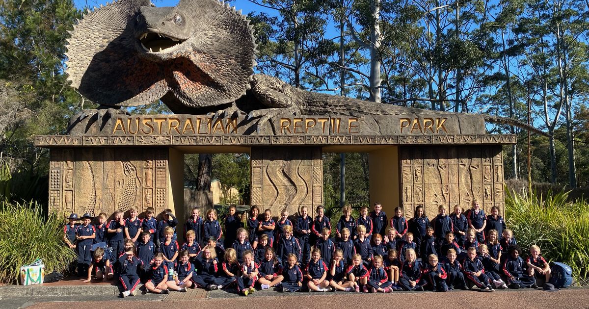 Year 1 Reptile Park Excursion | Avondale School