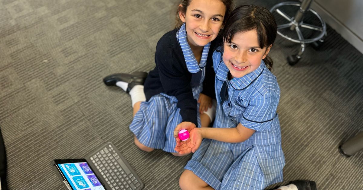 Year 2 Digital Technology | Avondale School