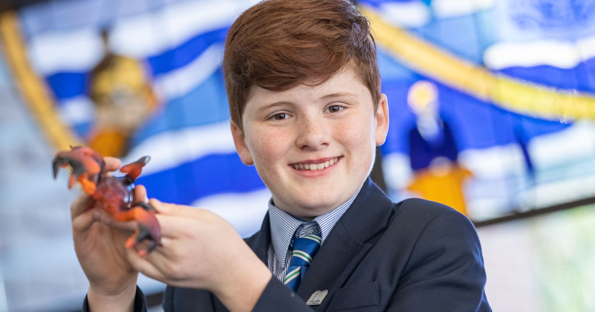 Year 7 Arts Day - Ambrose Treacy College