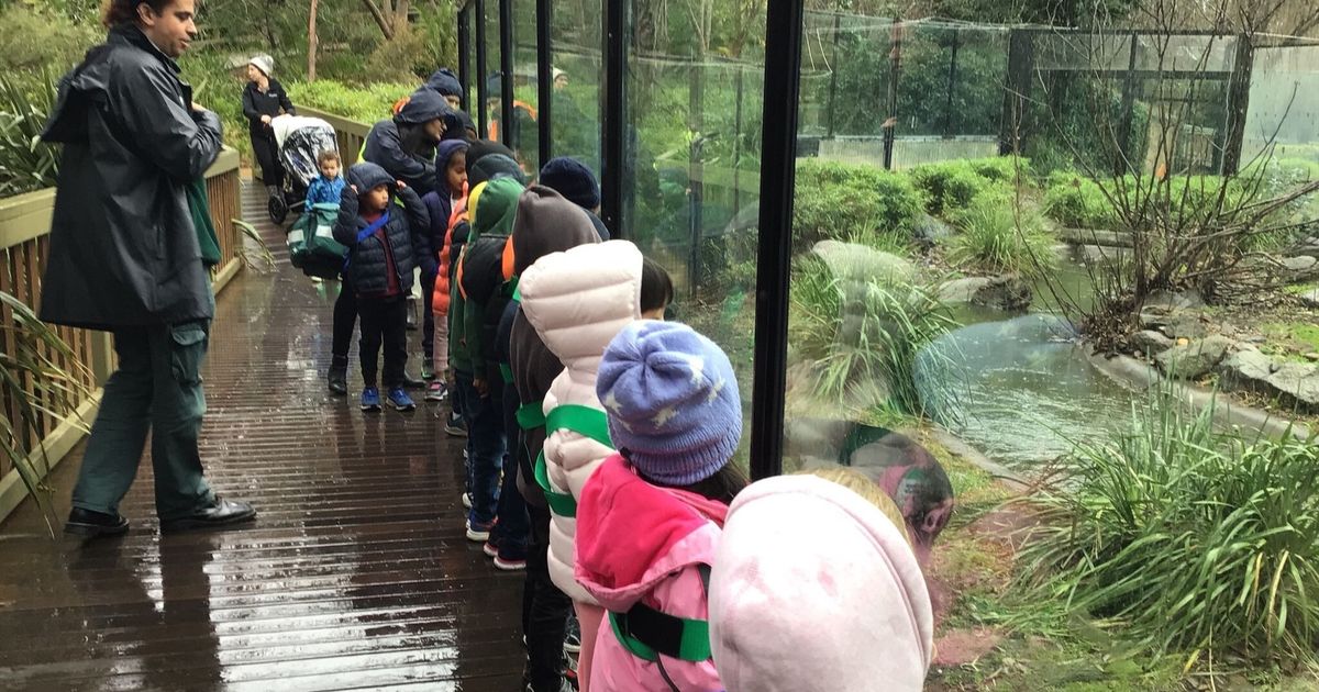 OSHC Holiday Program in Full Swing! - Burgmann Anglican School