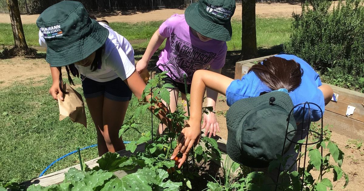 OSHC Holiday Program Fun - Burgmann Anglican School