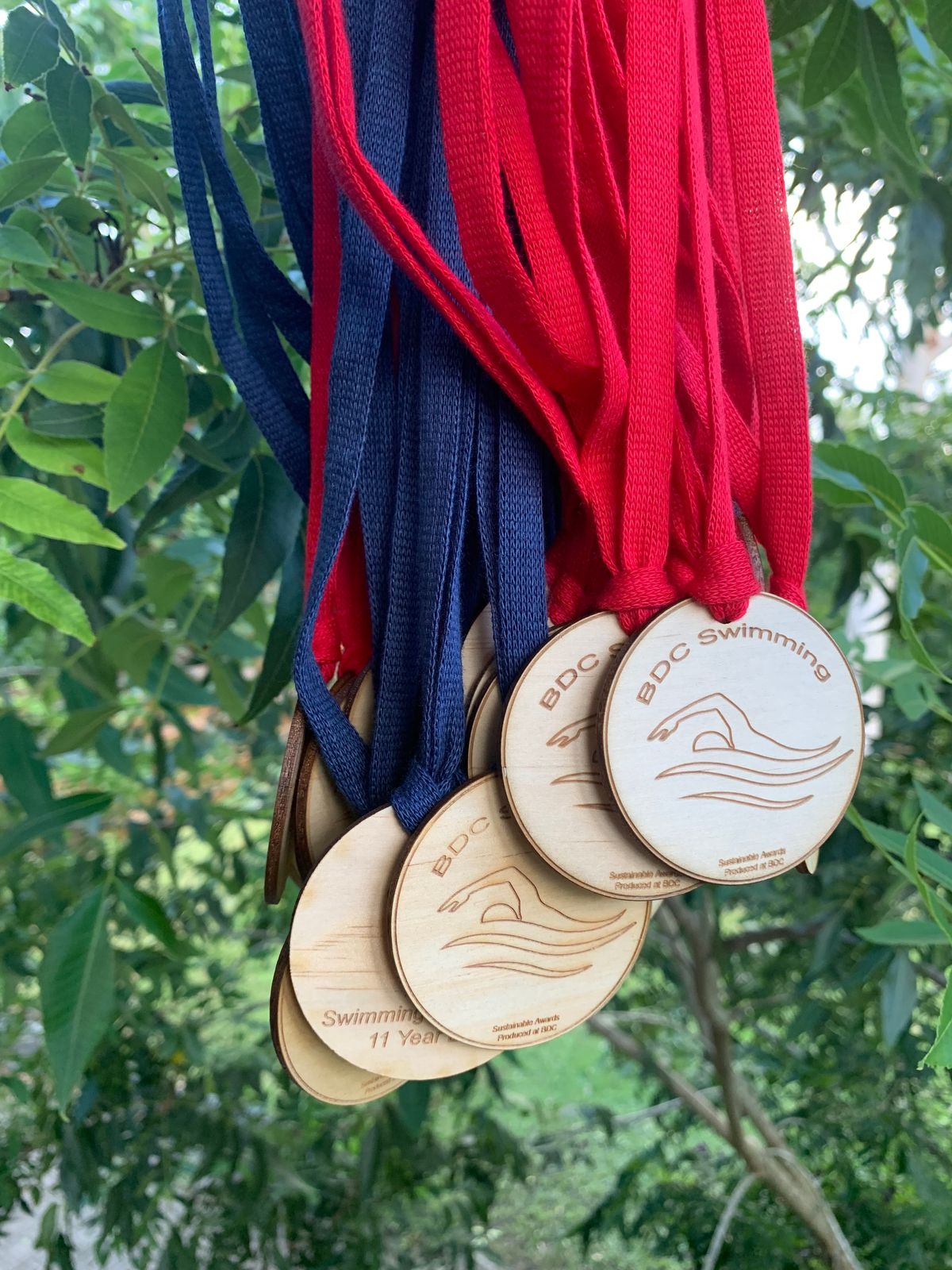 How BDC awards are sustainable | Bishop Druitt College