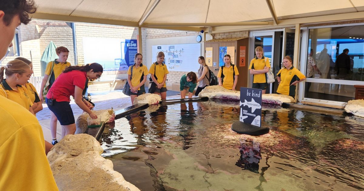 Issue 03, 2025 - Frederick Irwin Anglican School