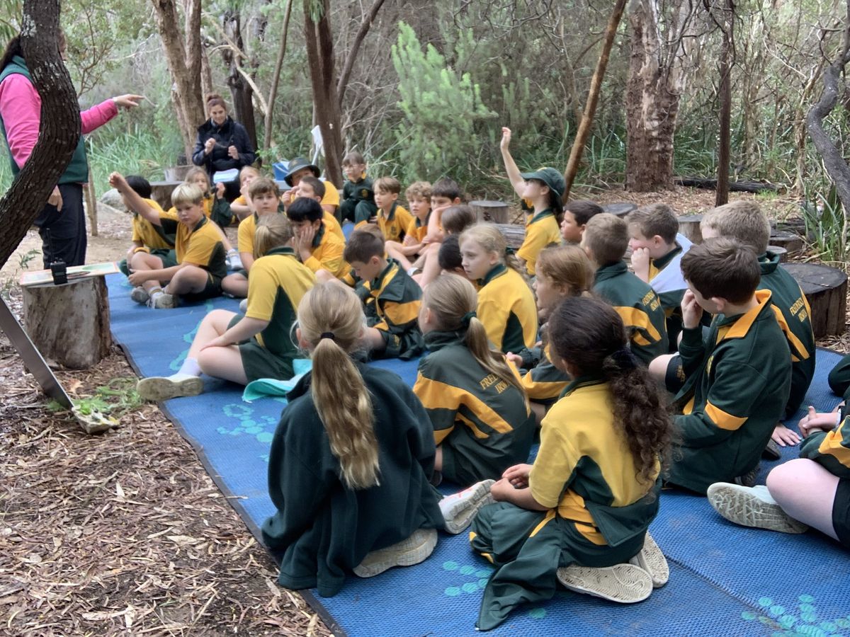Year 4 Excursion - Exploring Wetlands | Frederick Irwin Anglican School