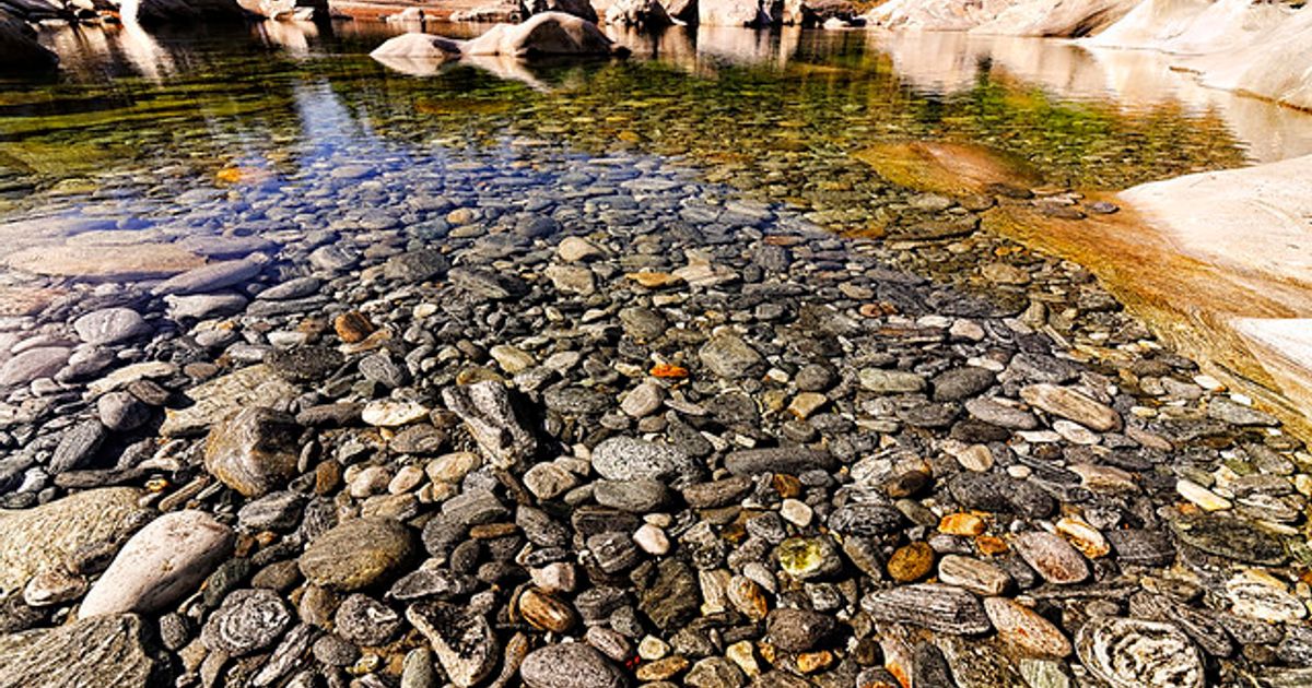 Remote Activity - Remote Pictionary | Hillcrest Christian College