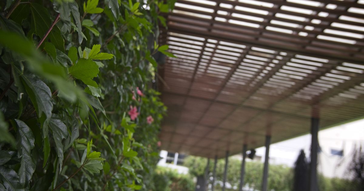 Enrolment FAQs - All Hallows' School