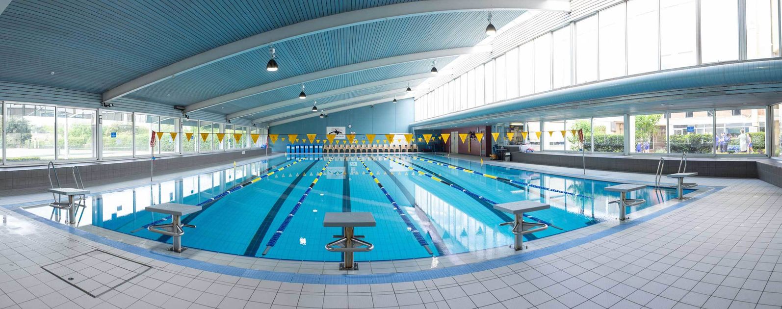 New Ivanhoe Girls' Swimming Coach | Ivanhoe Girls' Grammar School