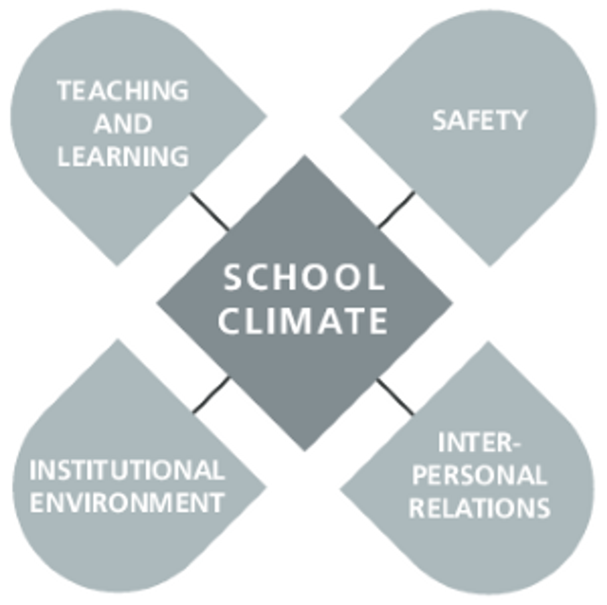What’s in a school ‘climate’? | Mount Sinai College