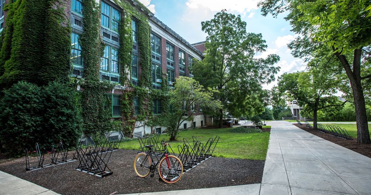 Newsletters Example - Penrhos College