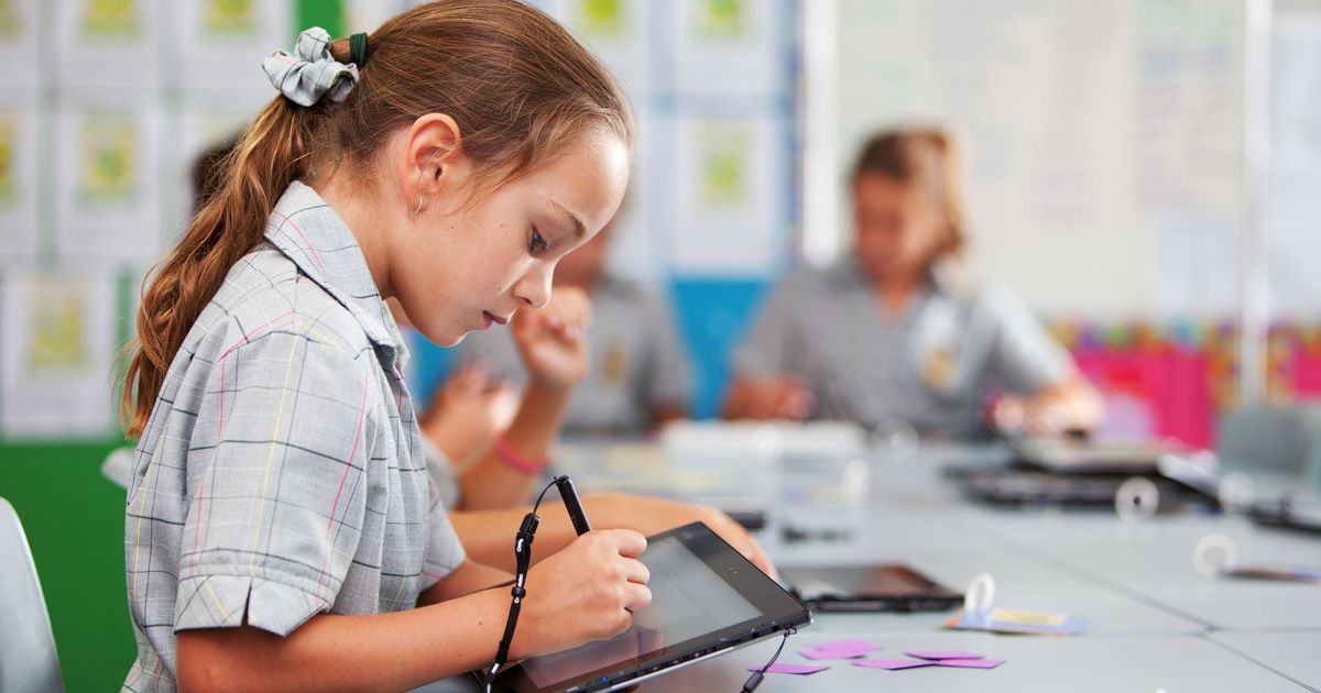 Helping Hand grant brings Cyber Safety Program to College in 2024 ...