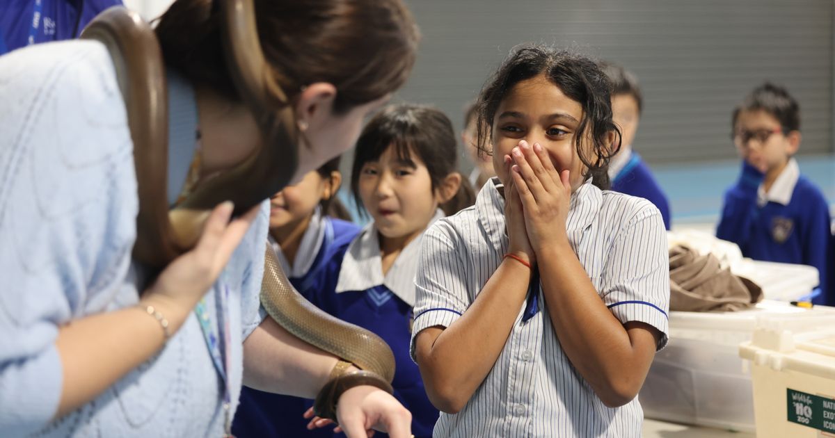 Science Week 2024 - Redeemer Lutheran College
