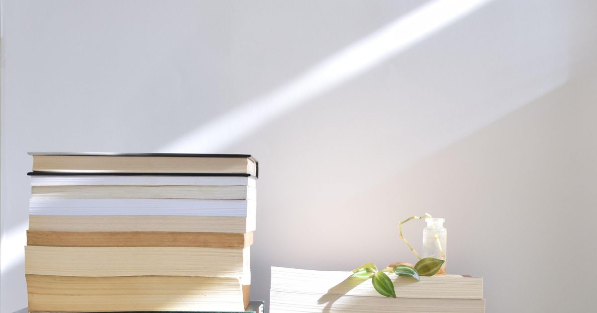 The best Gold Coast book club is here | Somerset Storyfest