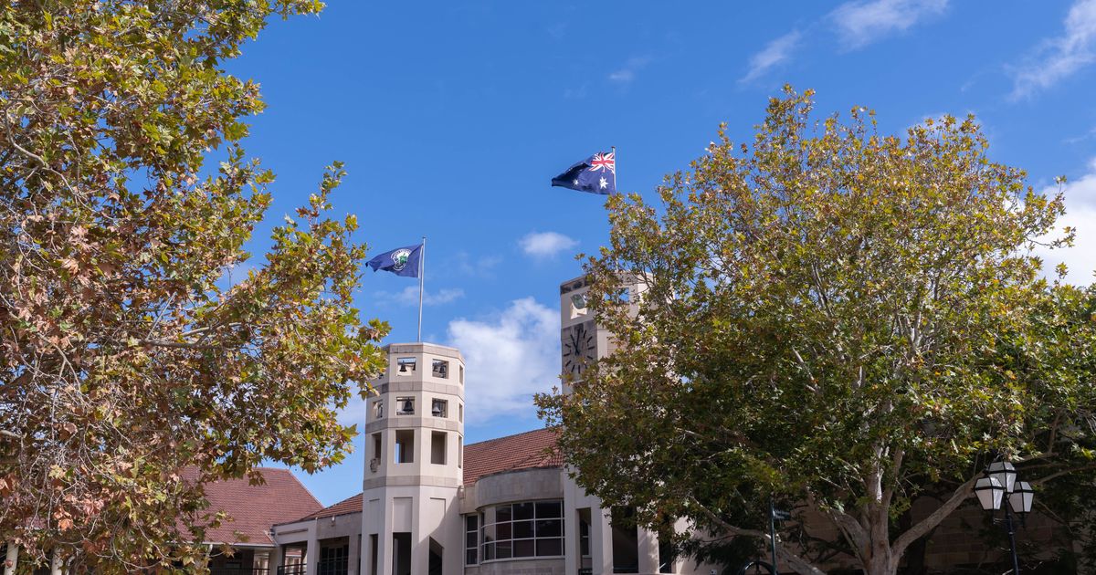 The Race to the Finish Line: Hare or Tortoise? | Somerset College