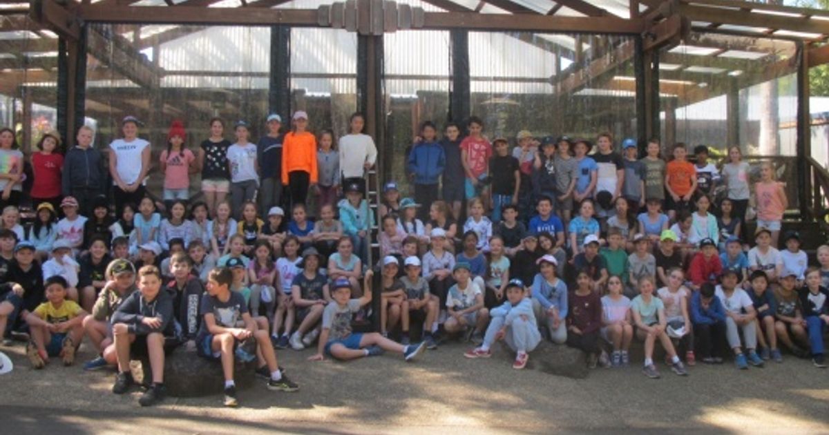 Mapleton Moments - Year 5 Camp | Somerset College