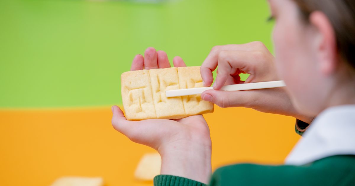 The Cuneiform Language | Somerset College