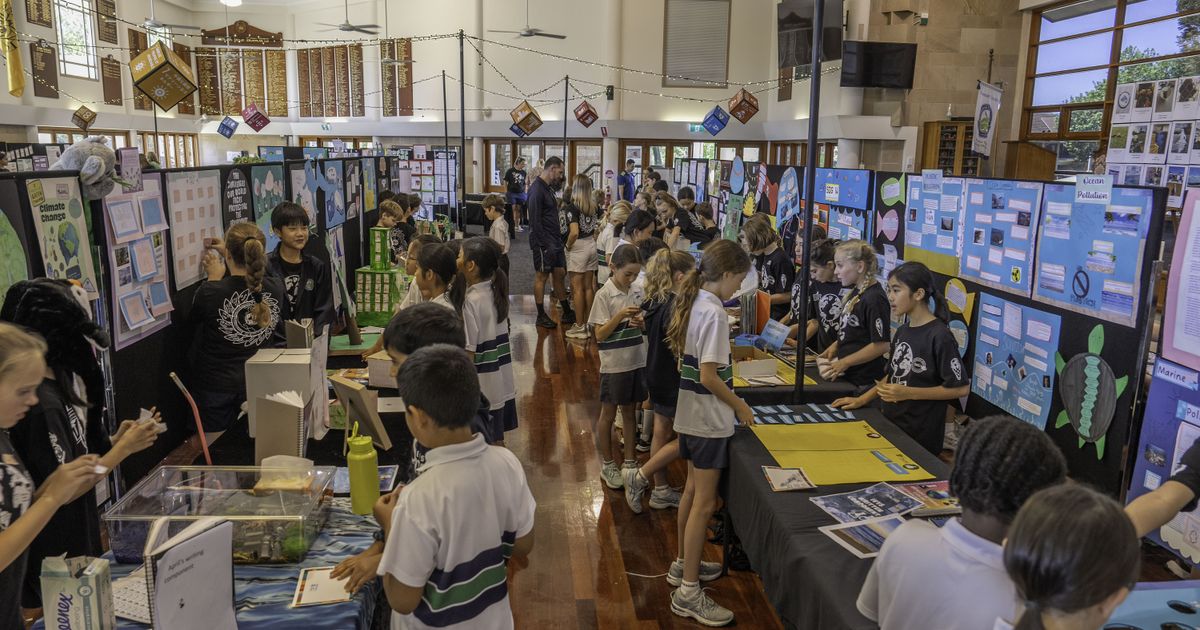 PYP Exhibition Essential to the Primary Years Programme | Somerset College