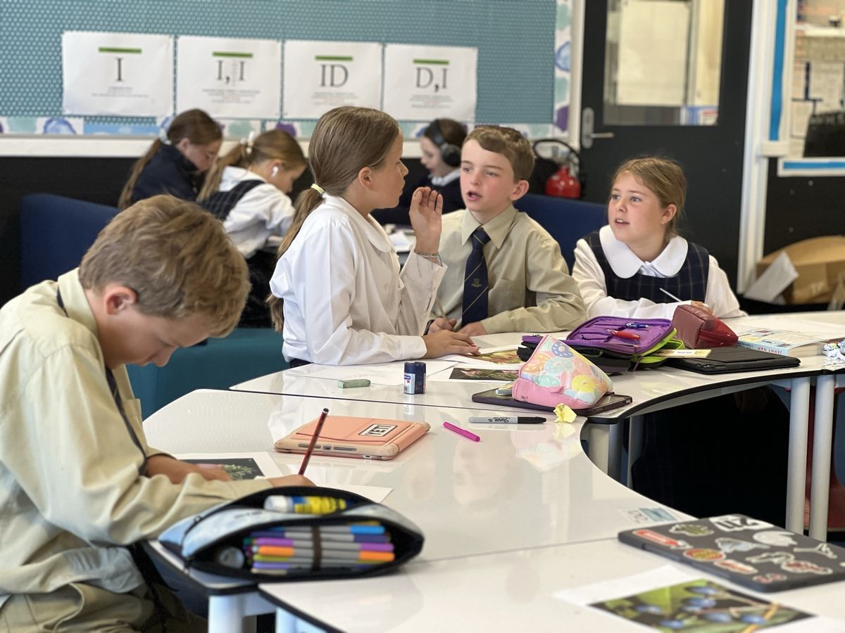 Grammar Minds - Scone Grammar School