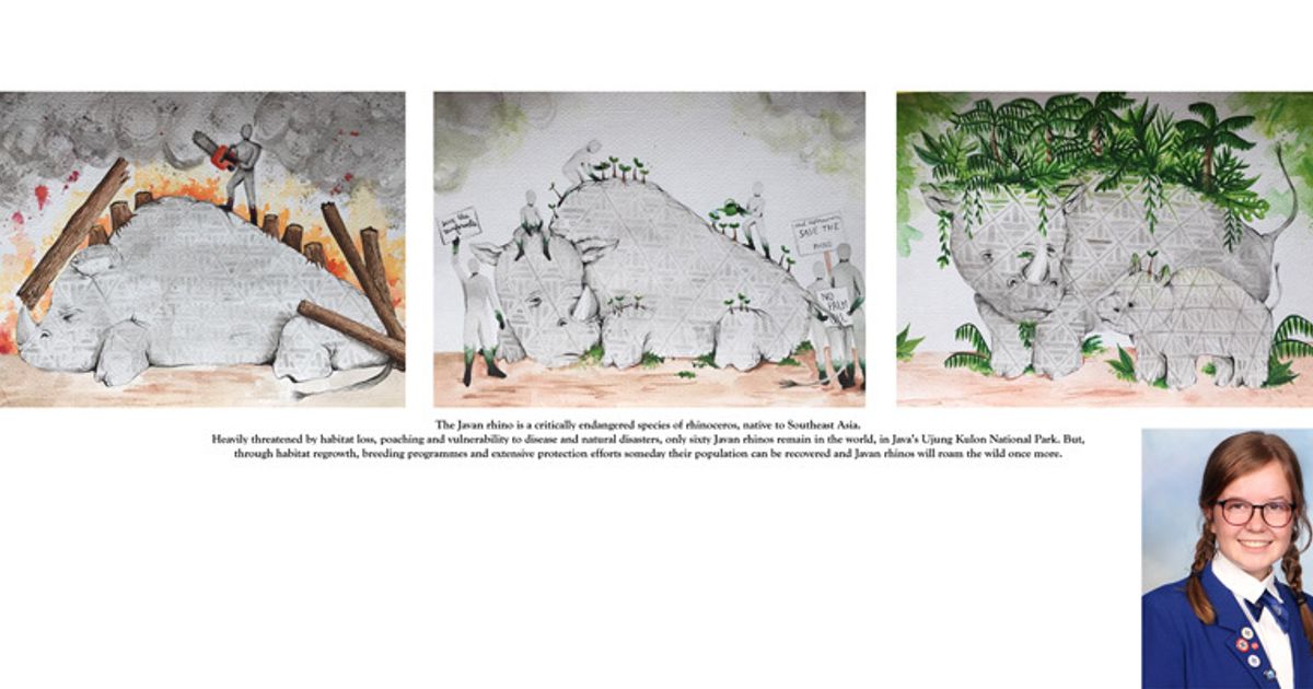 College Environmental Art Competition - Saint Kentigern Organisation