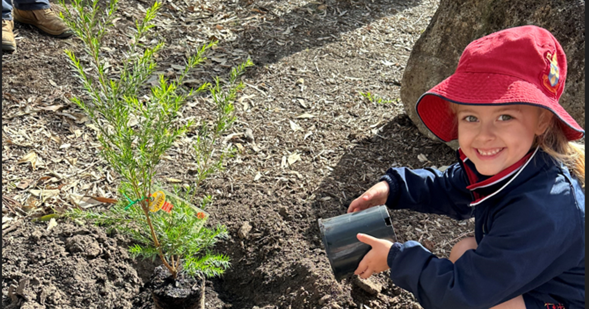 Bush Tucker Garden - St Hilda's School